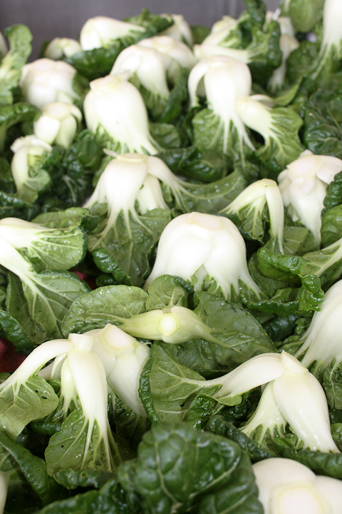 Creekside Natural Farm – Minooka, IL – Vegetables, Produce, Flowers ...